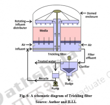 Sewage Microbiology and Treatment – Environmental Microbiology ...