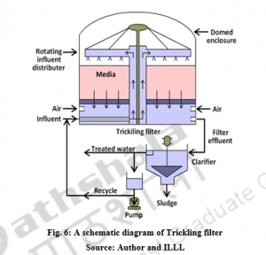 Sewage Microbiology and Treatment – Environmental Microbiology ...