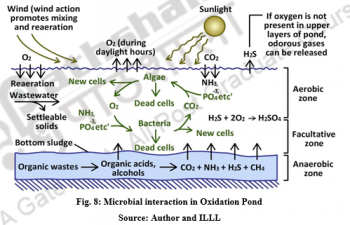 Sewage Microbiology and Treatment – Environmental Microbiology ...