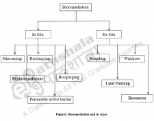 Bioremediation: Processes and Techniques – Environmental Microbiology ...