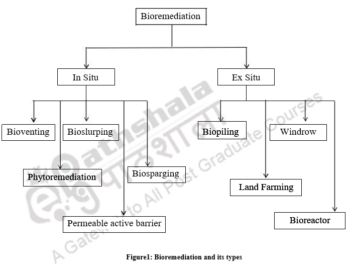 Bioremediation: Processes and Techniques – Environmental Microbiology ...