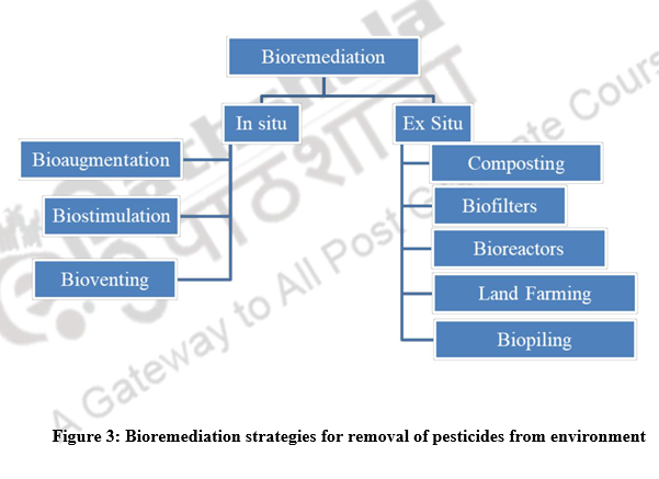 Bioremediation of Pesticides – Environmental Microbiology & Biotechnology