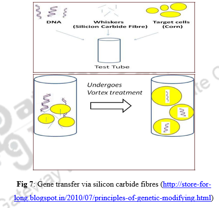 Genetically Modified Crops – Methods of Gene Transfer – Environmental ...