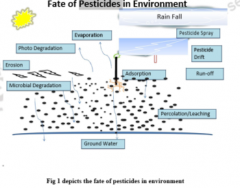 Bio-pesticides – Environmental Microbiology & Biotechnology