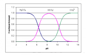 Carbon Dioxide and Carbonate System – Environmental chemistry