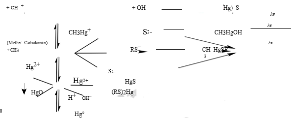 Chemical Speciation: Environmental Consequences – Environmental chemistry