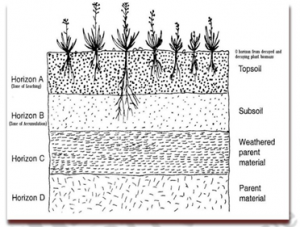 Soil – I (Formation, Structure and Chemical Composition ...