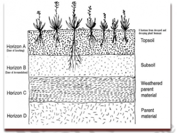 Soil – I (Formation, Structure and Chemical Composition ...