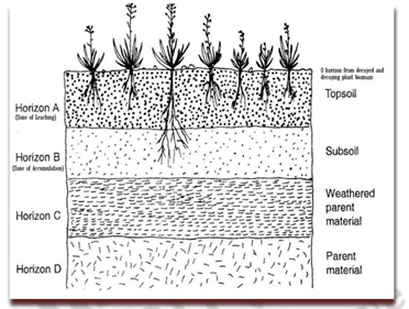 Soil – I (Formation, Structure and Chemical Composition ...