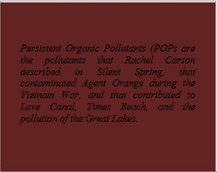 Persistent Organic Pollutants – Environmental chemistry