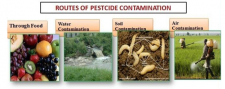Pesticides – Environmental chemistry