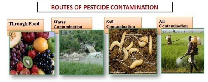 Pesticides – Environmental chemistry
