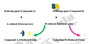 Aquatic Redox Chemistry – Environmental chemistry