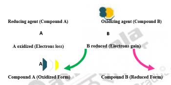 Aquatic Redox Chemistry – Environmental chemistry