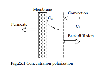 Membrane processing: Reverse osmosis and ultrafiltration – Unit ...