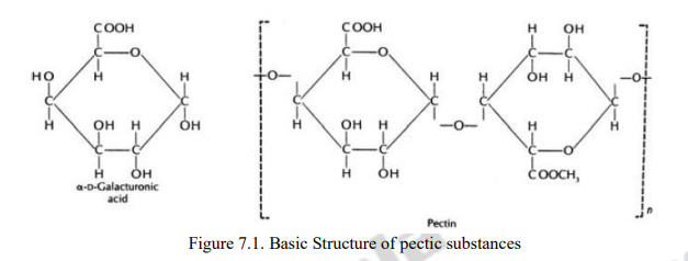 Pectins and Gums – Food Additives and Food Quality Assurance