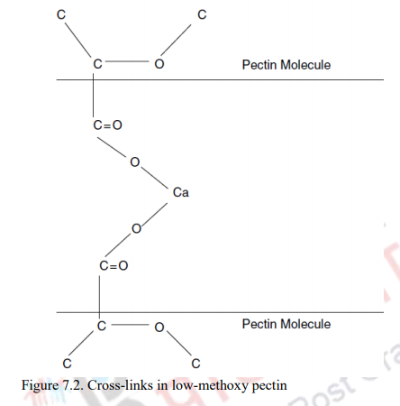 Pectins and Gums – Food Additives and Food Quality Assurance