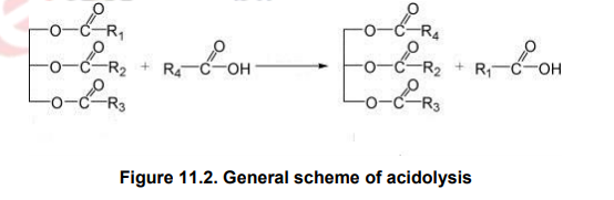 Fat hydrolysis, interesterification and hydrogenation – Food Additives ...