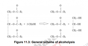 Fat hydrolysis, interesterification and hydrogenation – Food Additives ...