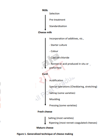 Technology of Cheese Manufacture –II: Soft and Hard cheeses ...