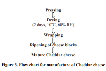 Technology of Cheese Manufacture –II: Soft and Hard cheeses ...