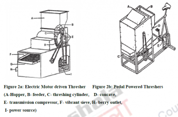 Pepper: processing of pepper – Technology of spices and condiments