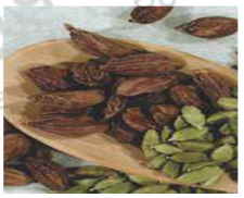 Cardamom: Grading – Technology of spices and condiments