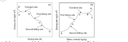 Food Drying& Dehydration – Principles of the Food Processing & Preservation