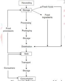 Principles of Food Processing and Preservation – Principles of the Food ...