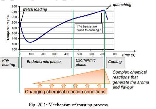 Roasting and Smoking of Foods – Principles of the Food Processing ...