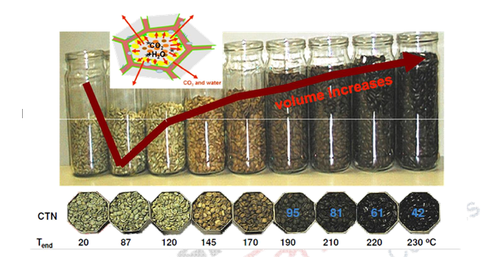Roasting and Smoking of Foods – Principles of the Food Processing ...