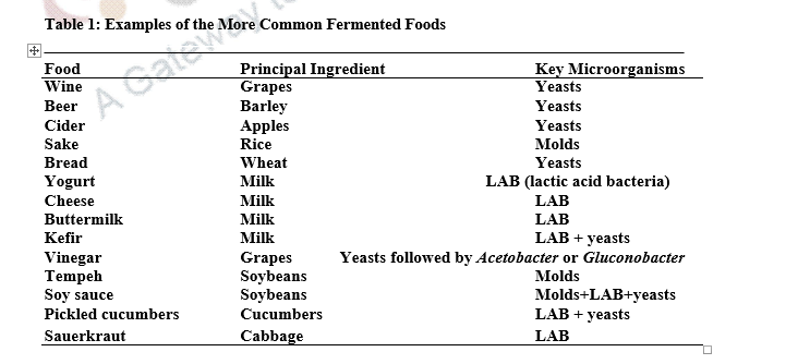 Food Fermentation – Principles of the Food Processing & Preservation