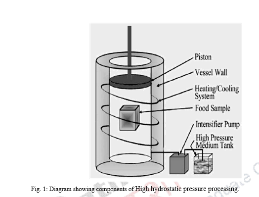High Hydrostatic Pressure Technology – Principles of the Food ...