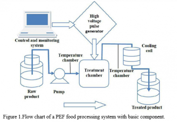 Pulsed Electric Field Technology – Principles of the Food Processing ...