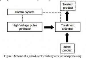 Pulsed Electric Field Technology – Principles of the Food Processing ...