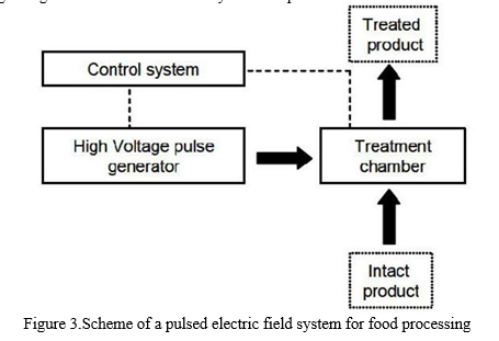 Pulsed Electric Field Technology – Principles of the Food Processing & Preservation