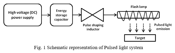 Preservation of foods by pulsed light technology – Principles of the ...