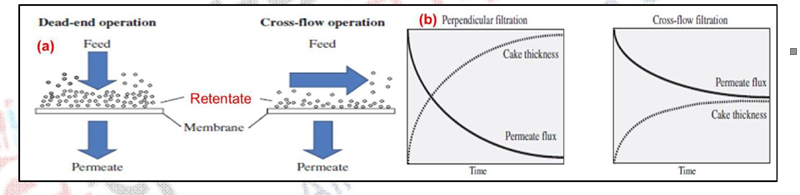 Membrane Processing in Food Processing – Principles of the Food Processing & Preservation