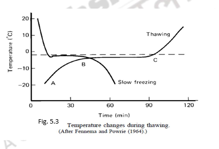 Principles of low temperature storage of fruits and vegetables ...