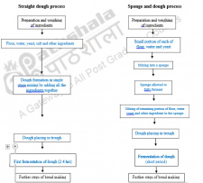 Technology of breadmaking-1: straight dough and sponge and dough ...