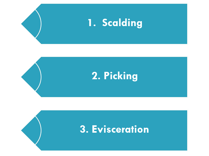 Primary processing of poultry – Technology of Meat Products