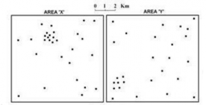 Meaning of Quantitative Geography – Quantitative Technique