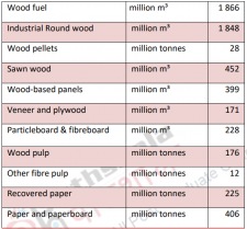 Forest Resource – Resource Geography