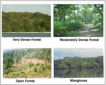 Forest Resource – Resource Geography