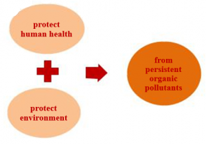 The Stockholm Convention – Environmental Geography