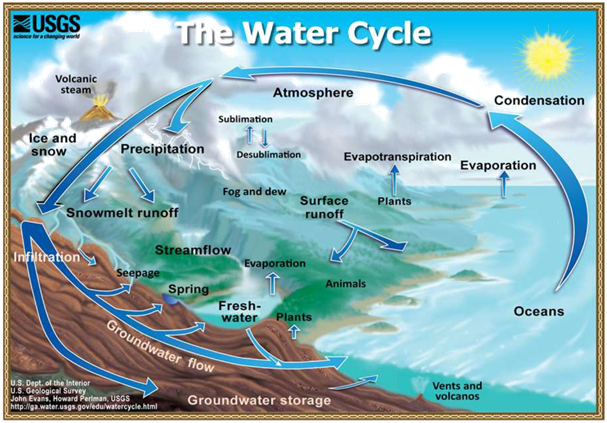 Biogeochemical Cycles – Environmental Geography