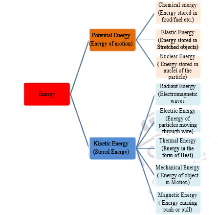 Energy Flow in Ecosystem – Environmental Geography
