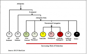 IUCN and Red List – Environmental Geography