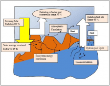 Energy Flow in Ecosystem – Environmental Geography