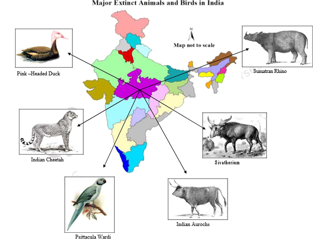 Extinction of Species with Special Reference to India – Environmental ...